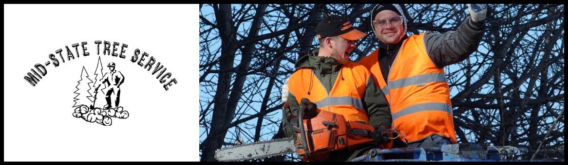 Mid State Tree Service is a Tree Company in Pearl, MS